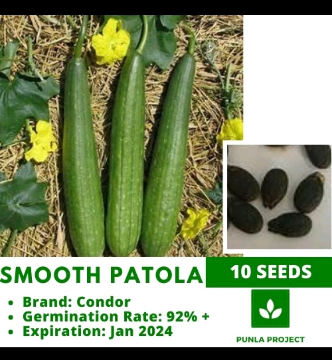 PATOLA 10pcs Smooth vegetable repacked seeds | Lazada PH