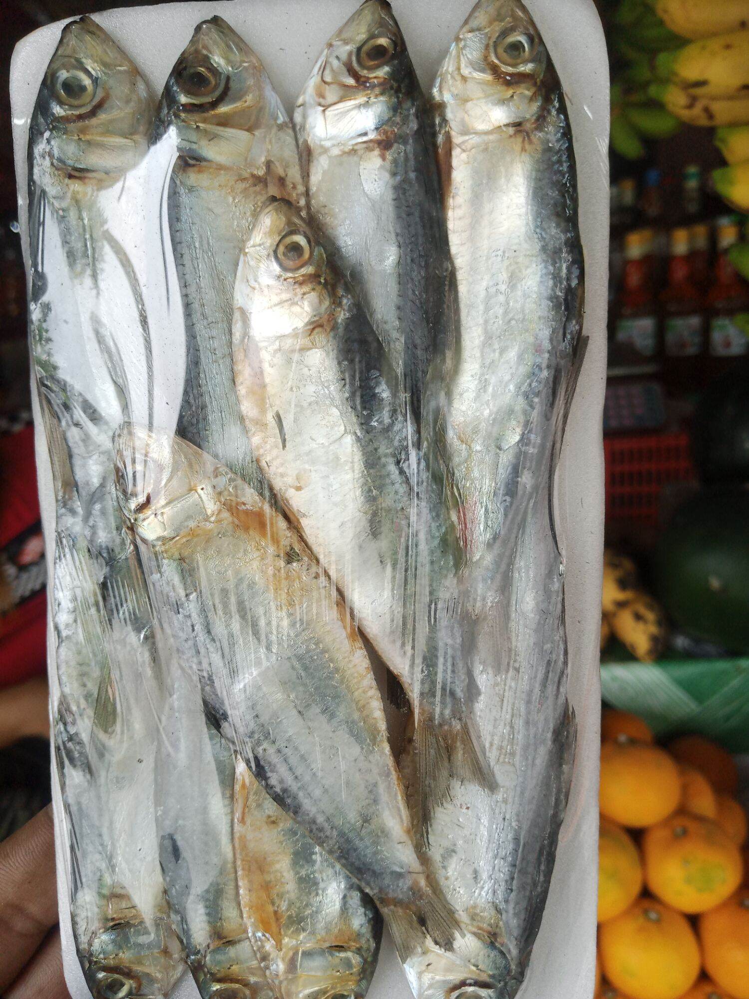Tawilis Dries Fish 1pack (unsalted fish) | Lazada PH