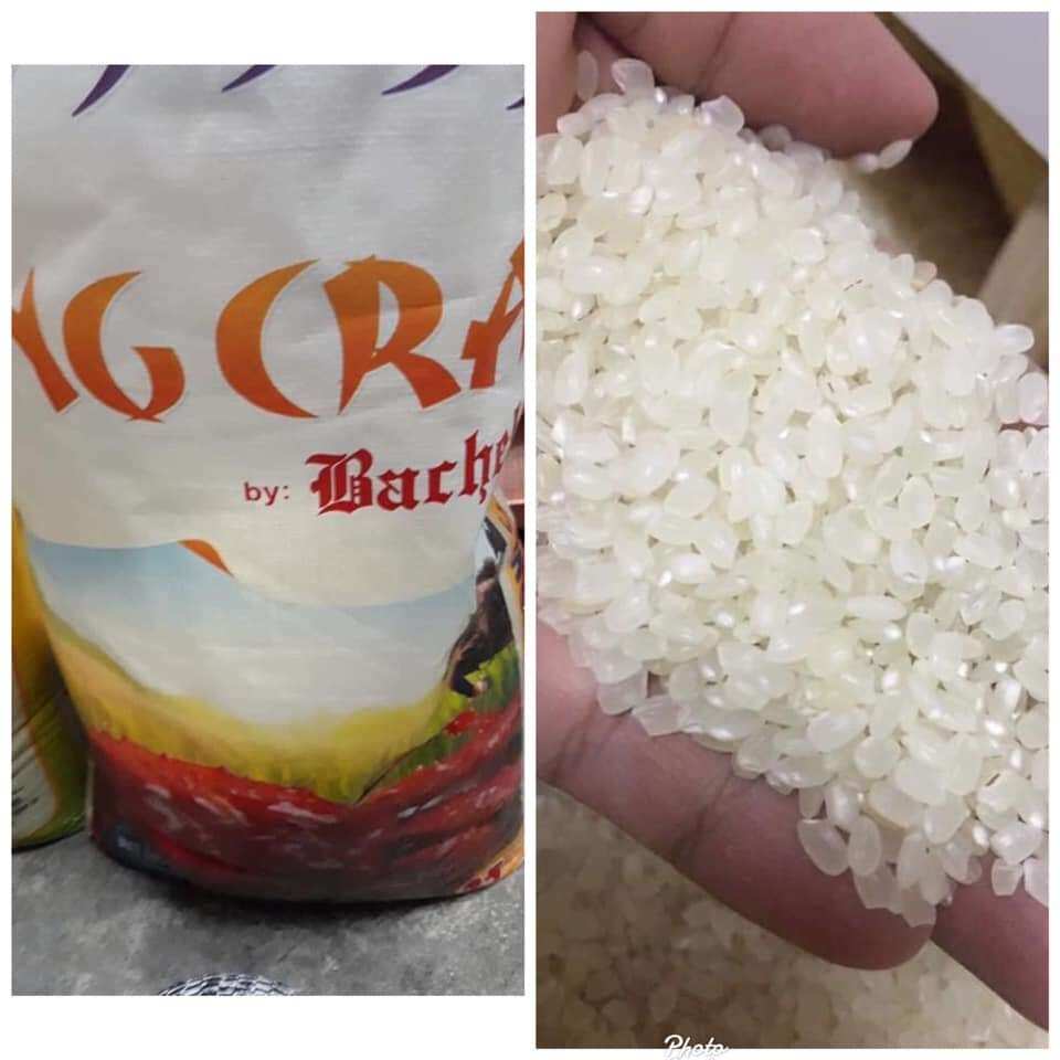 King Crab Japanese Rice 25KGS | Lazada PH