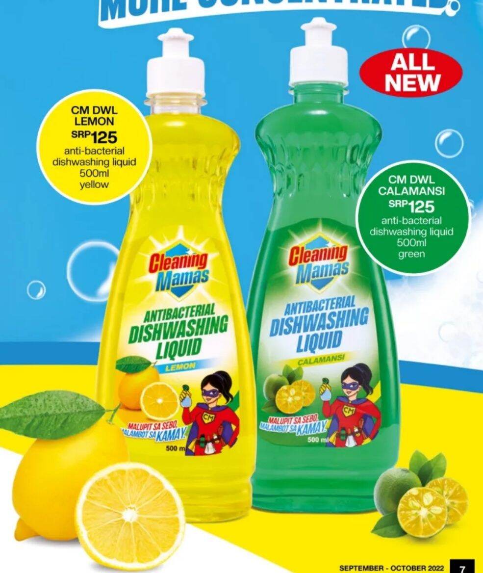 DISHWASHING LIQUID 500ML | Lazada PH