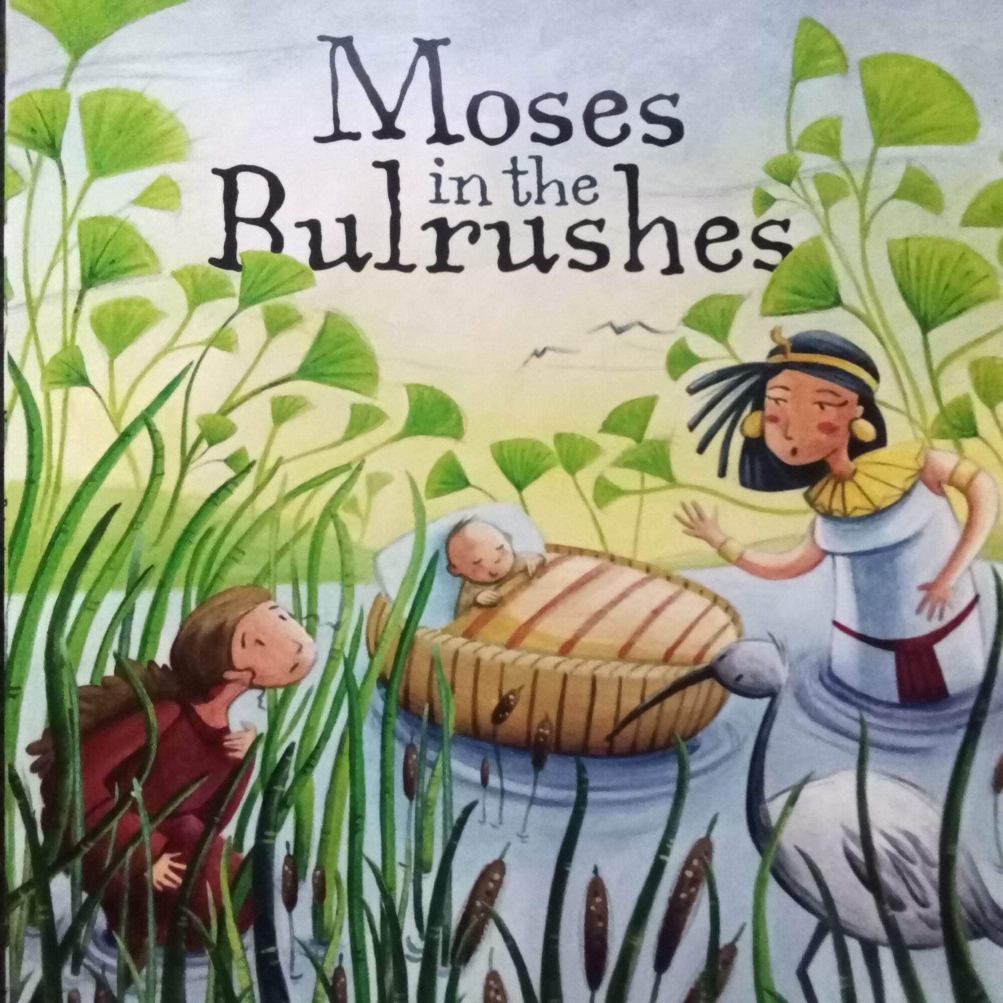 Moses in the Bulrushes by Katherine Sully 18L U | Lazada PH