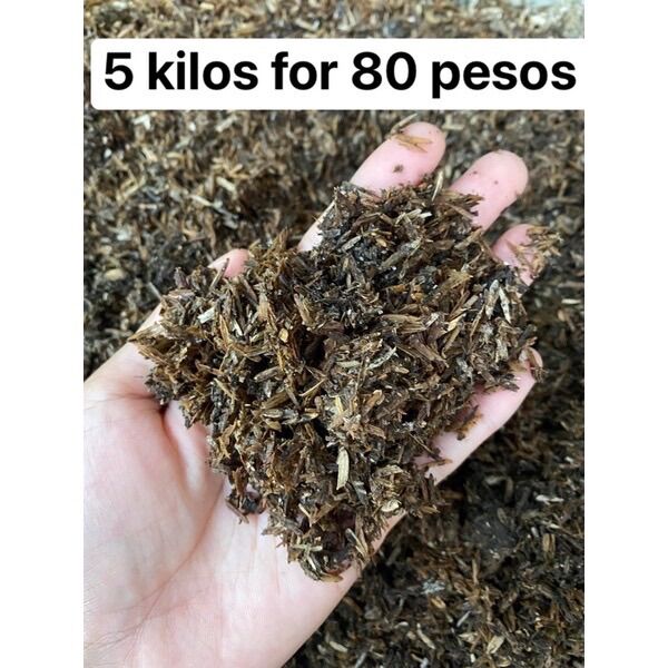 Bulok na IPa FREE 250 grams!!! | Lazada PH