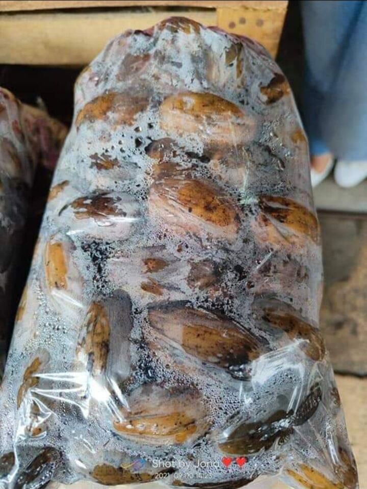 55-60 pcs Moma/Bunga/Betel Nut/ Nga Nga from Ifugao | Lazada PH