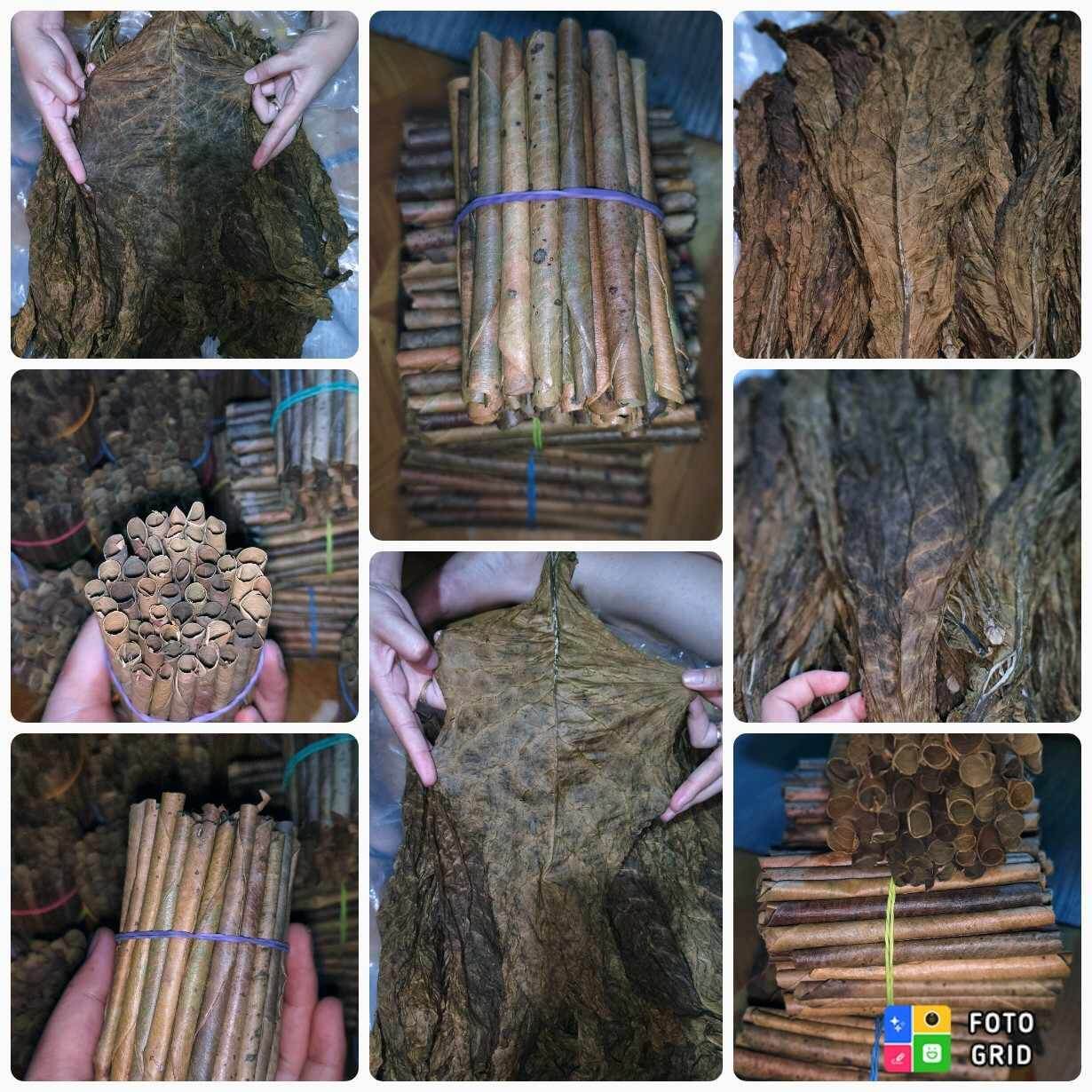 Shop online with DRICK Tobacco&Lomboy/duhat leaves Shop now! Visit ...