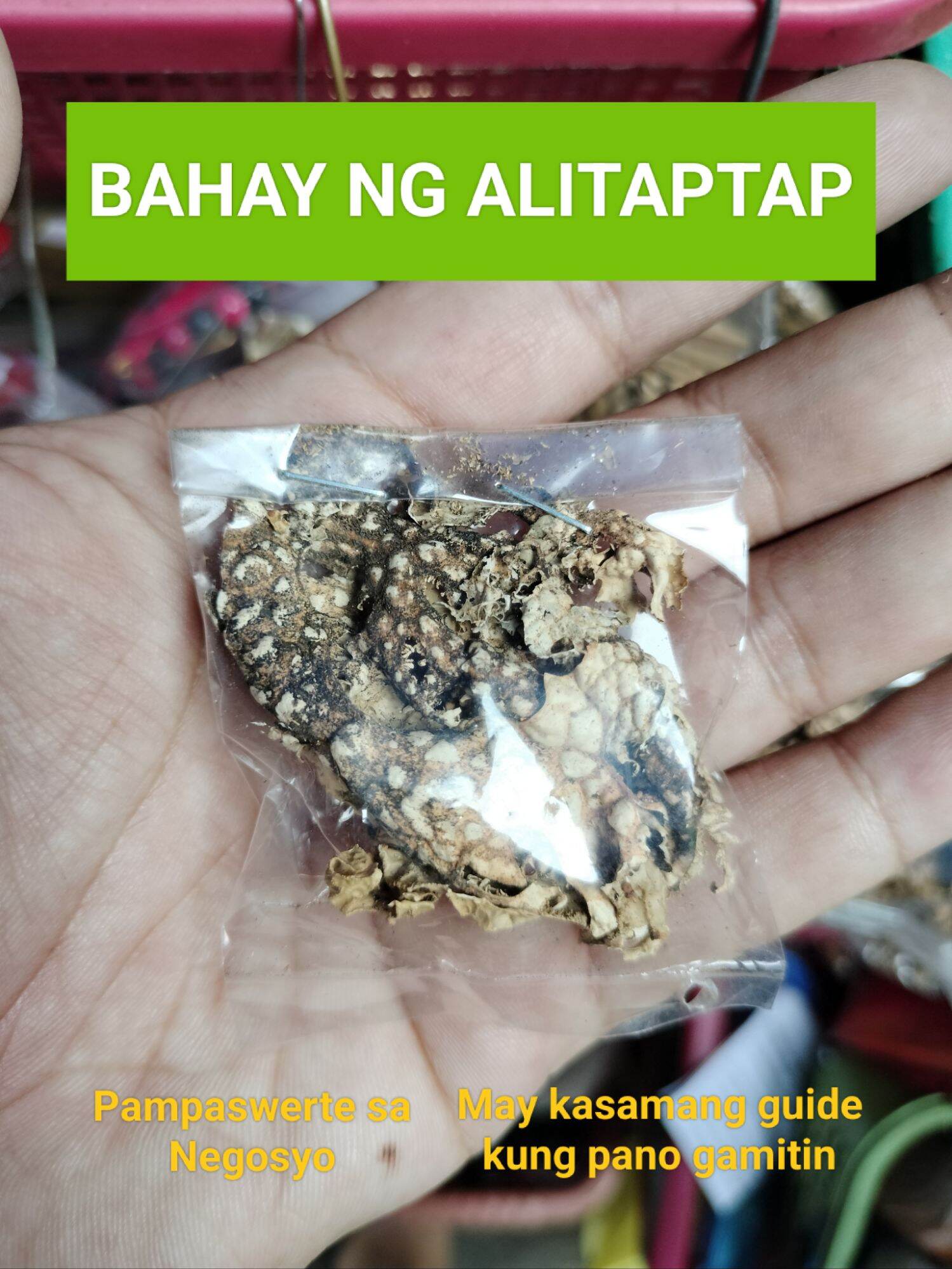 Bahay ng Alitaptap pampaswerte with guide and FREE POUCH | Lazada PH