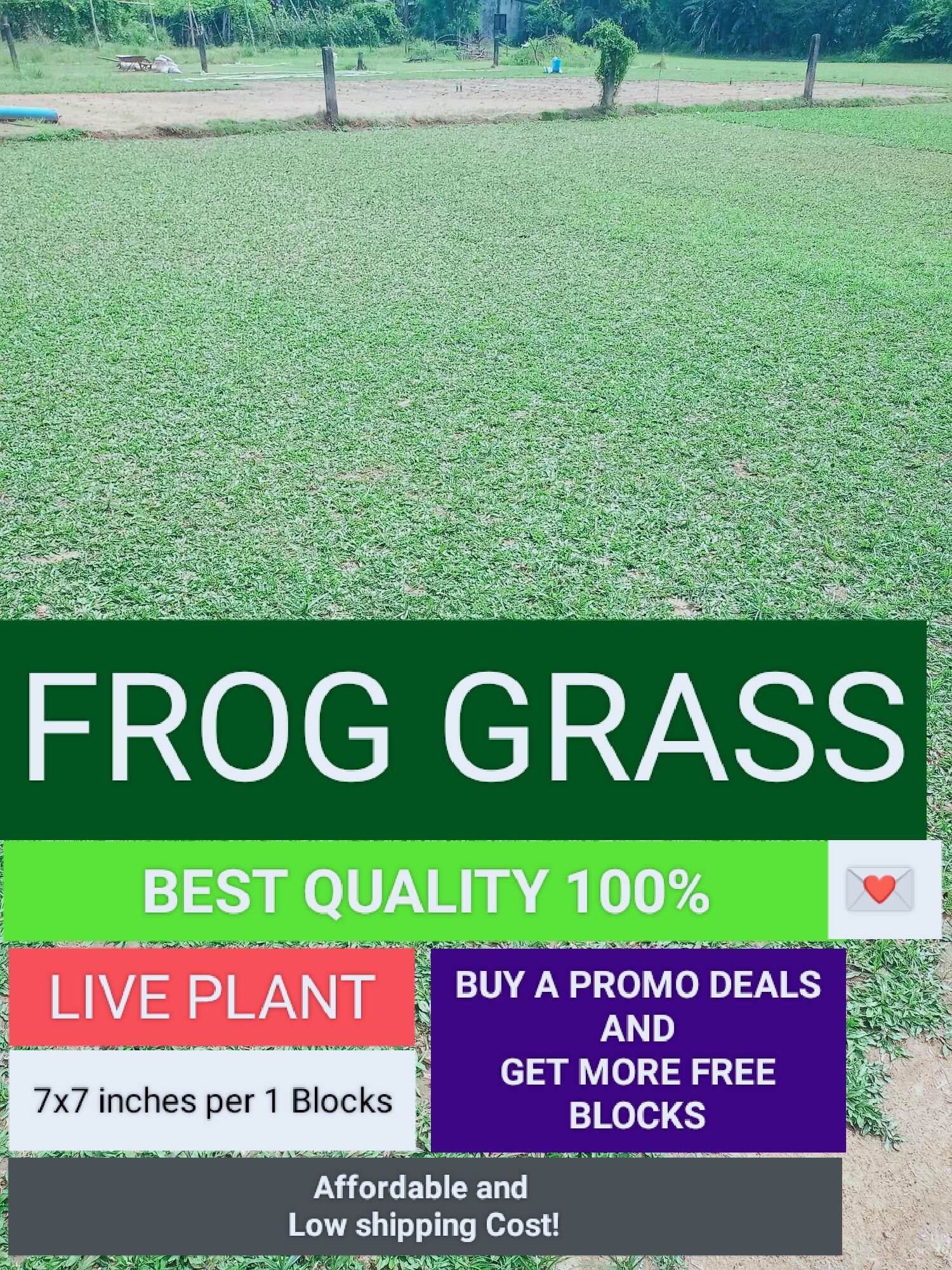 PLAIDENZ ONLINE SHOP Official Store in the Philippines, Online Shop 10 2024