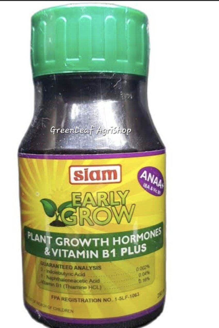 Siam Early Grow Rooting Hormone "Pampa-ugat sa itatanim na Halaman ...