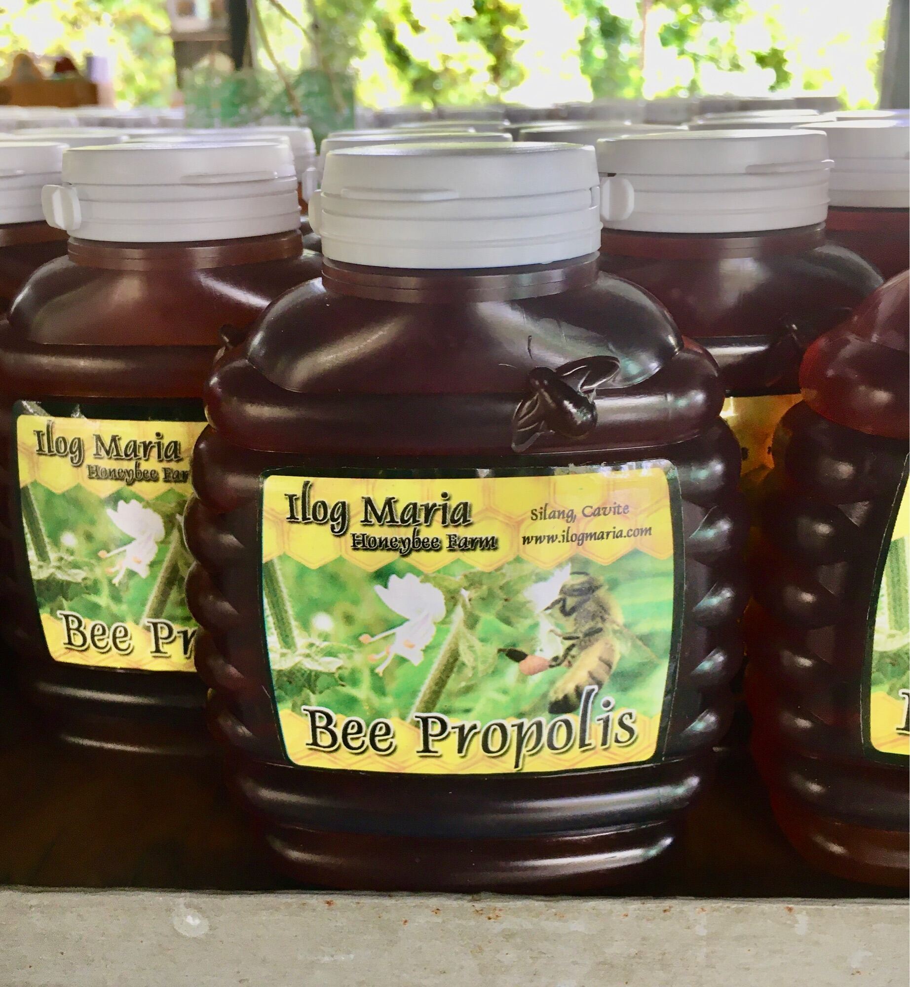 ILOG MARIA bee propolis Gold probiotic 320ml | Lazada PH